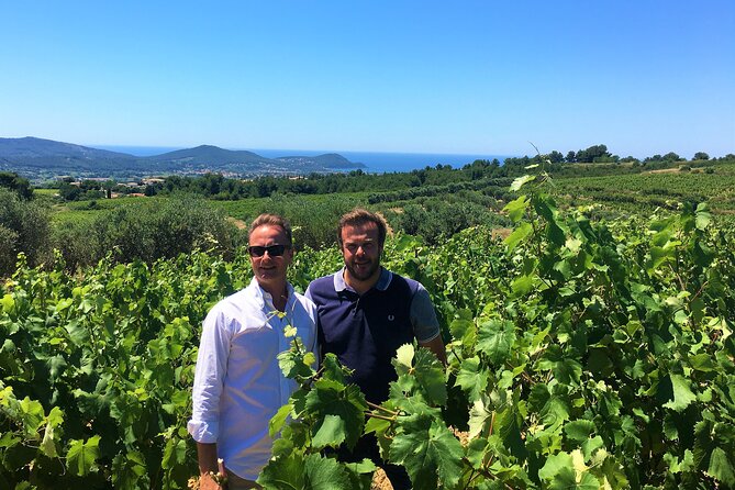 Full-day Wine Tour around Bandol & Cassis from Marseille - Practical Details