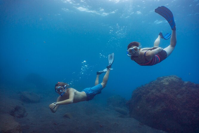 Funchal: Snorkeling Adventure in Eco-Park / Shore or by Boat - FAQ
