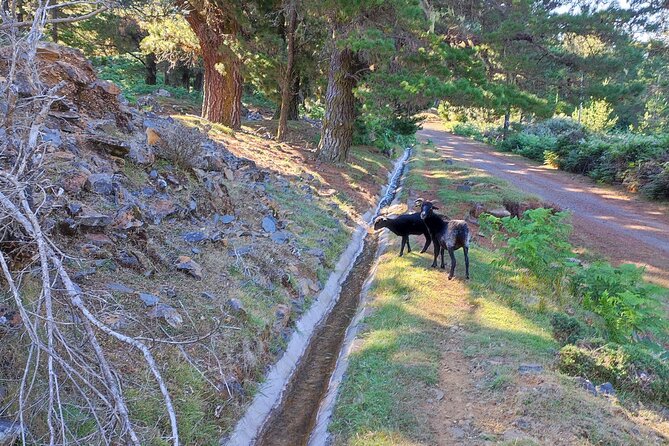 Gastro hike (Private Tour) - FAQ