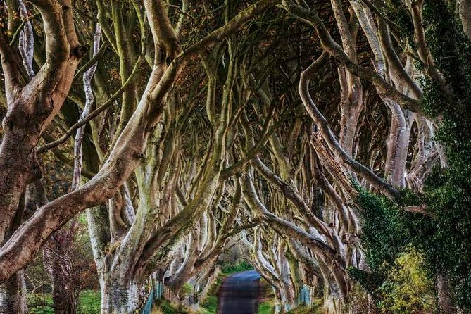 Giant's Causeway Full Day Tour from Belfast - Real Experiences from Travelers