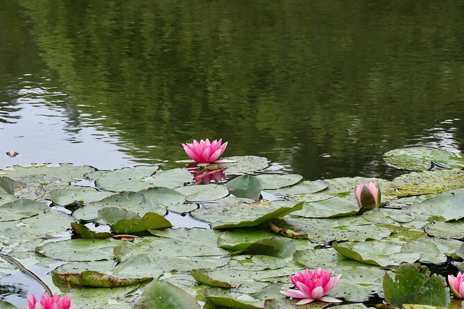 Giverny Half-day Small-group max. 7 people Trip from Paris - FAQs