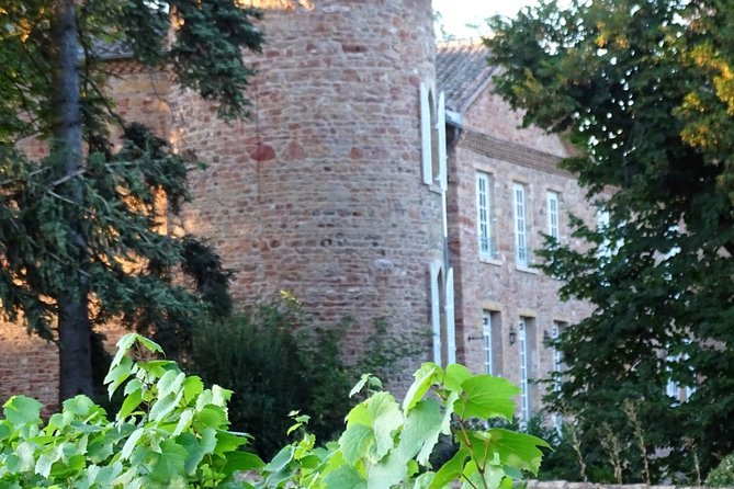 Gourmet walk in the gardens of Château Champ-Renard - FAQs