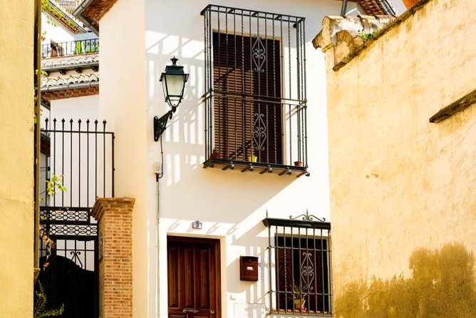 Granada Day Trip with Alhambra and Albaicin Tour from Seville - Who Should Consider This Tour?