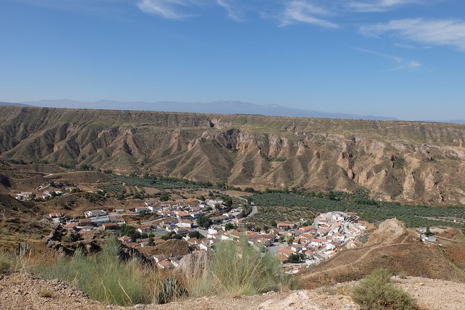 Granada Geopark: Desert, Prehistory and Local Gastronomy - Lunch: A Taste of Local Flavors