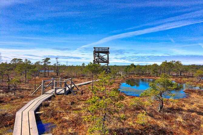 Great emeri Bog and Swamp Forest Hiking Adventure - Authentic Insights from Reviews