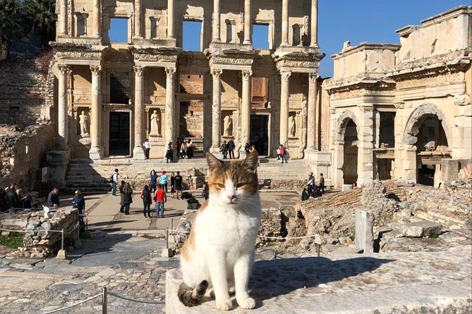 Guided Ephesus Tour From Kusadasi Cruise Port - Who Should Consider This Tour?