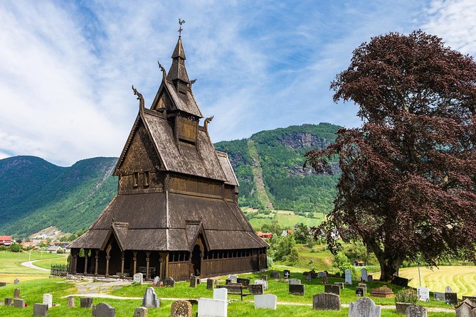 Guided Fjord & Glacier Tour - From BERGEN - Value and Cost