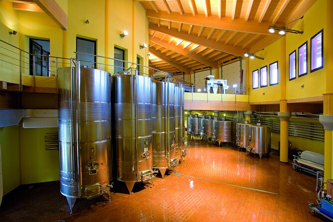 Guided Premium Tour in Lugana DOC - 5 wines from Perla del Garda - The Sum Up