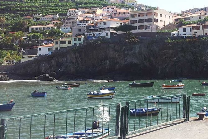 Guided Toboggan Ride and Madeira Wine Tasting Tour - FAQ