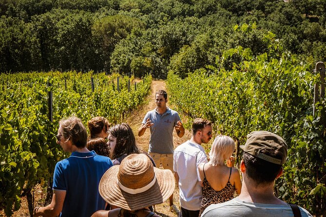 Guided tour of the cellars with wine tasting and lunch - FAQ