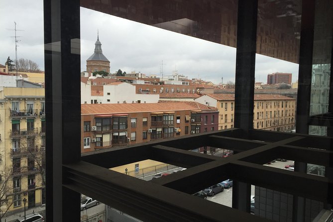 Guided tour of the Reina Sofia Museum in Madrid, entrance fees and pick up at the hotel. - Who Will Love This Tour?