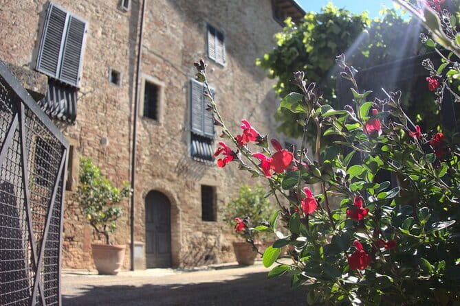 Guided tour with wine tasting and local organic products - The Bottom Line