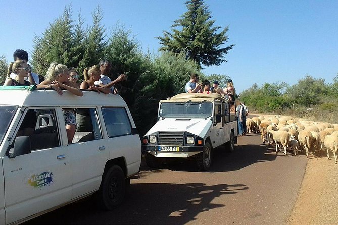 Half-Day Algarve Countryside and Villages Jeep Safari - FAQ