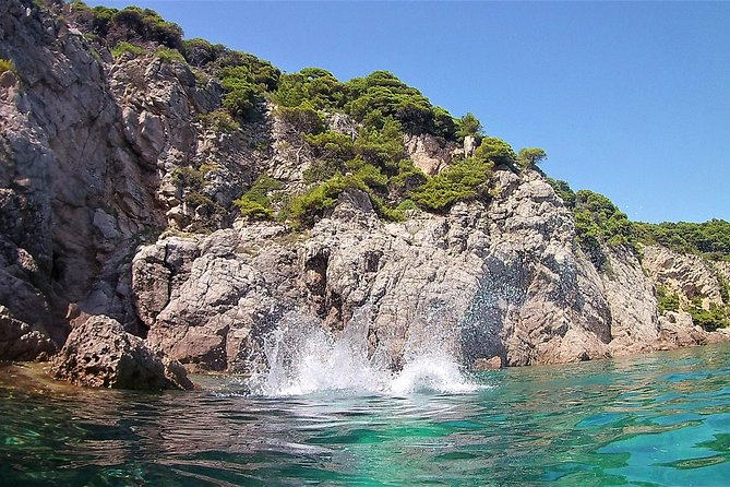 Half-Day Best Beaches & Bays Private Speed Boat Tour - Who Will Love This Tour?