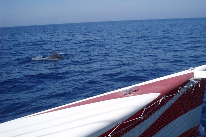 Half-Day Catamaran Trip in Menorca - The Sum Up