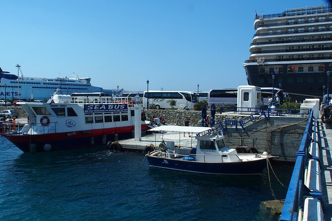 Half Day Delos Tour of Mykonos from the Cruise Ship Port - Practical Tips for Future Travelers