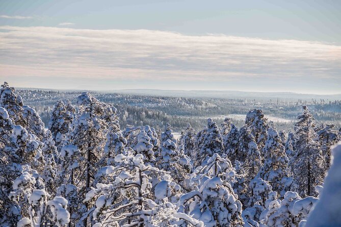 Half Day Guided Tour in the Wilderness of Levi - FAQ