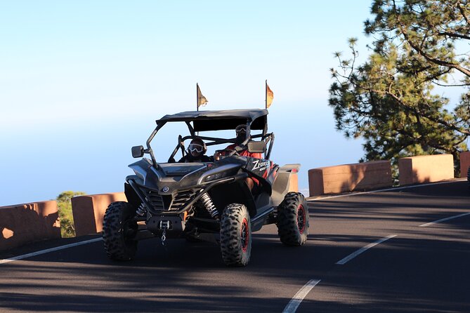 Half Day Morning Buggy Tour in Teide National Park - The Sum Up
