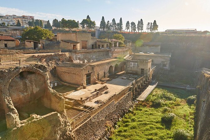 Half Day Morning Tour of Herculaneum from Sorrento - FAQ