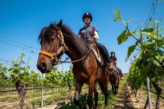 Half-Day of Horseback Adventure with Wine Tasting - Authenticity and Safety