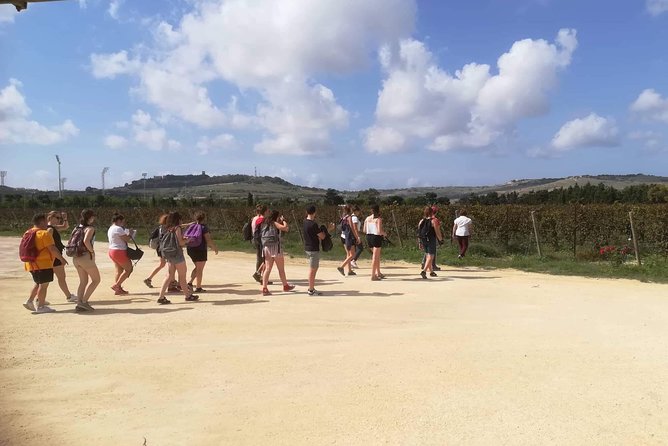 Half Day Private Tour Around Malta - The Sum Up