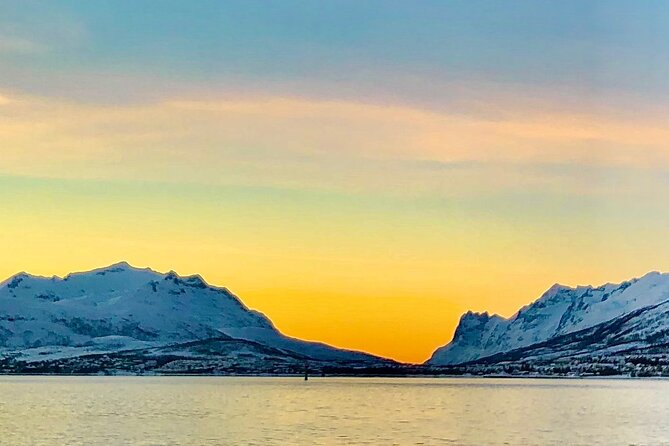 Half-Day Scenic Wildlife & Photographic Fjord Tour. - FAQ