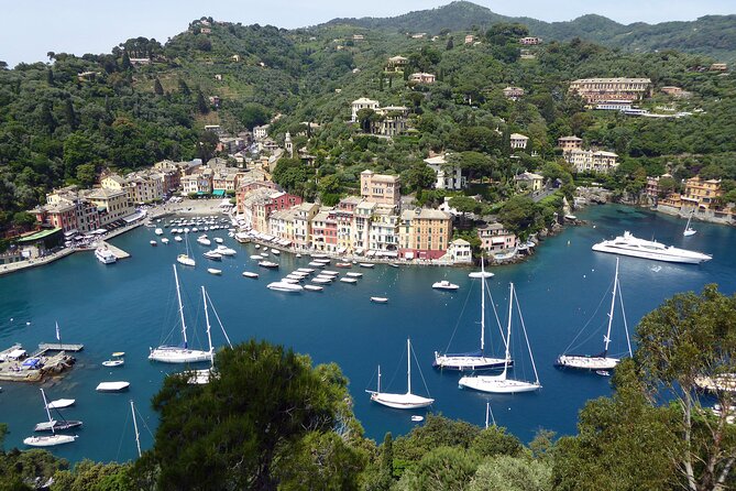 Half-day tour from Genova to Portofino - Authentic Experiences and Testimonials