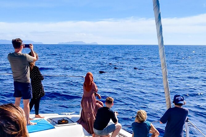 Half Day Tour on a Luxury Catamaran on Madeira Island - Final Word