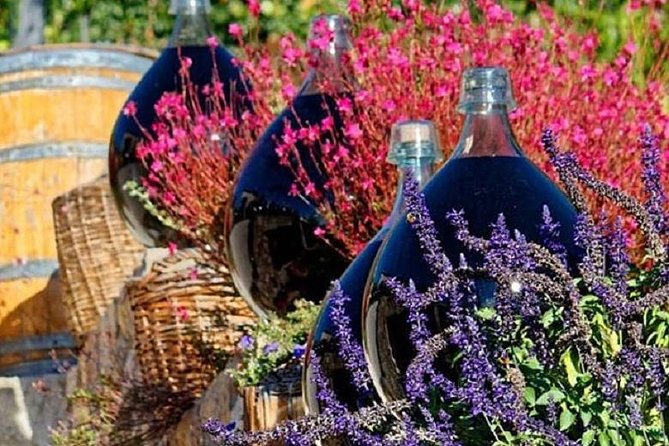 Half-Day Wine Tasting and Saint Paul de Vence Tour from Nice - FAQ