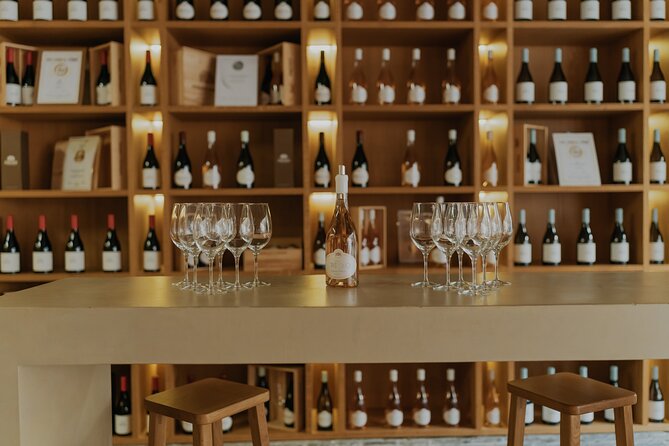 Half Day Wine Tour Around Evora - The Tour Experience in Perspective