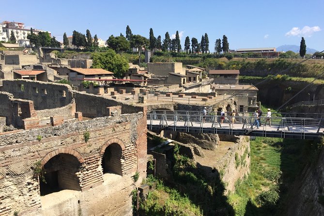 Herculaneum Private Walking Guided Tour 2 hours - The Perfect Audience for This Tour