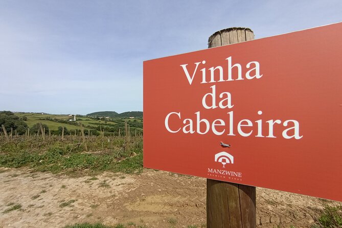 Hike & Wine Ericeira - FAQ