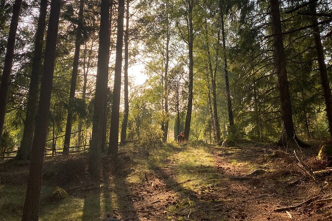 Hike with Wild Forage Surviving Tips and Local Lunch at the Lake - Final Thoughts
