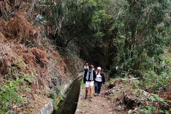 Hiking and Trekking tours in Madeira - Who Should Consider This Tour?