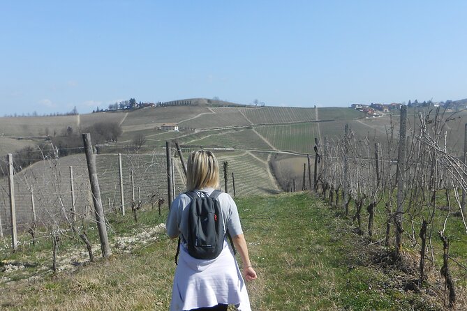 Hiking and wine tour starting from Alba - Authentic Experiences Backed by Positive Reviews
