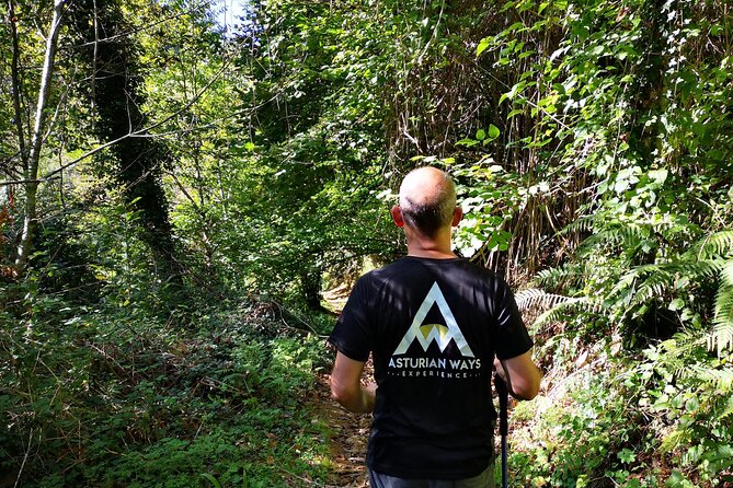 Hiking Experience in Asturias, from Gijón or Oviedo - Who Will Love This Tour?