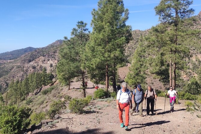 Hiking in the Sacred Mountains of Gran Canaria: UNESCO - Who Should Consider This Tour?