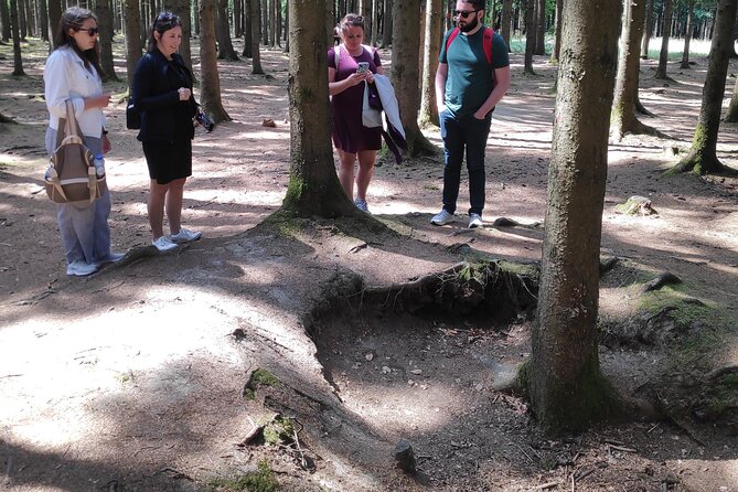 Historic Battle of the Bulge Sites Tour from Brussels - The Sum Up: Who Will Love This?