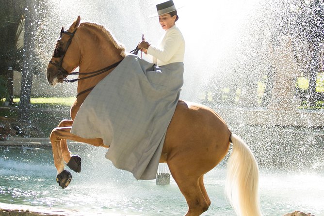 Horse and Flamenco Show in Malaga - The Pros and Cons Based on Reviews