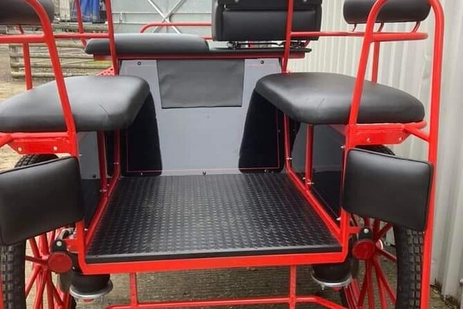 Horse drawn carriage ride york - Practical Tips