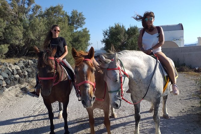 Horse Riding--Explore secret Thera - Pricing and Value