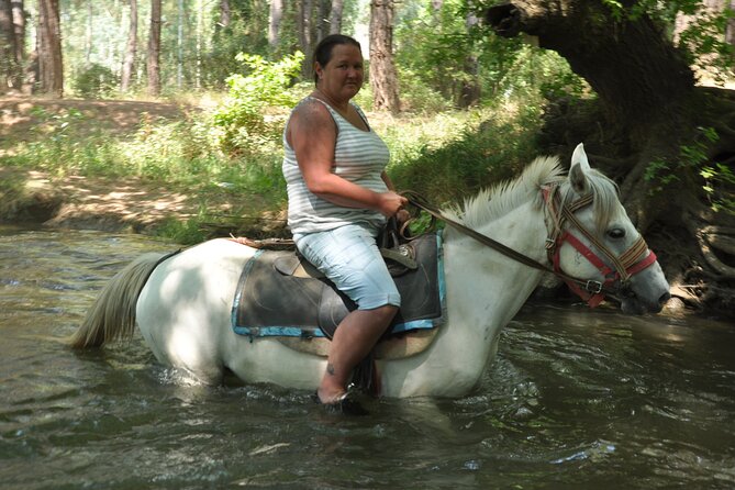 Horse Riding in Marmaris & Icmeler - Why This Tour Works