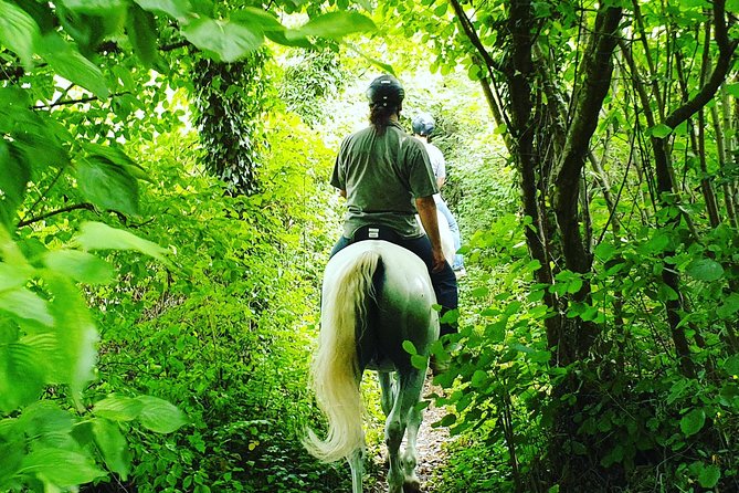 Horseback Riding In Bled - Who Should Consider This Experience?