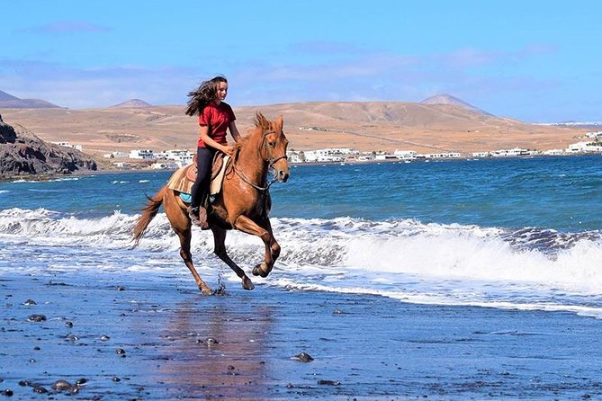 Horseback Riding in the sunset of Famara Beach, Lanzarote, Spain - Pricing and Value