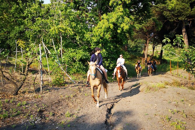 Horseback Riding on Vesuvius - Who Will Appreciate This Tour?