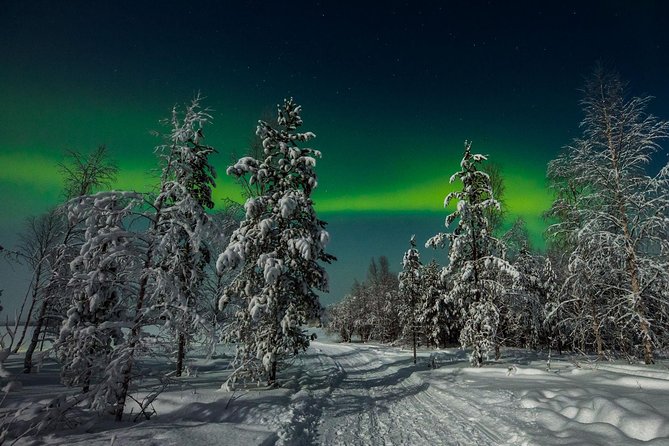 Hunting Northern Lights with Husky - Final Thoughts