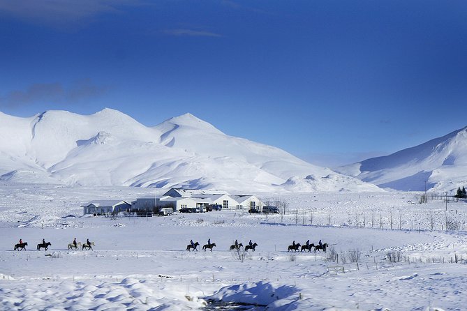 Icelandic Horseback Riding Tour Including Pick Up from Reykjavik - The Sum Up