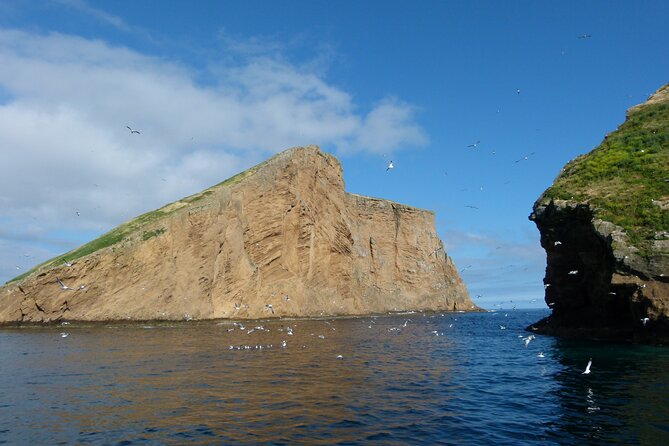 Ilhéus das Cabras in Terceira Island - FAQ