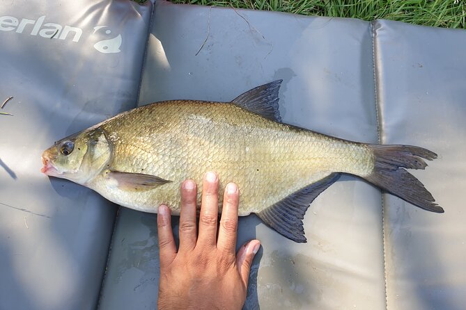 Introduction to fishing in Strasbourg - Who Will Enjoy This Tour?