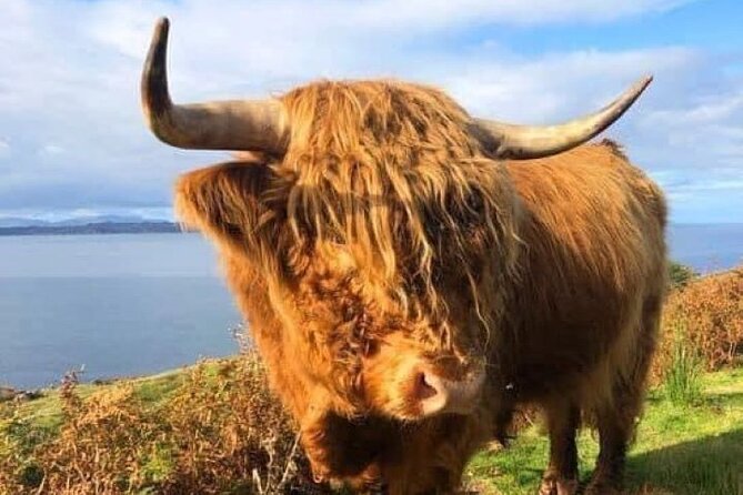 Invergordon Cruise Ship Tour Dunrobin Castle, Dornoch, Distillery - Frequently Asked Questions